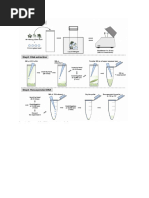 CTAB DNA Extraction Method | PDF