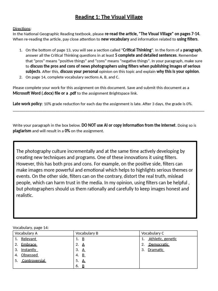 Reading 1 The Visual Village Ilnura Adiatulina | PDF