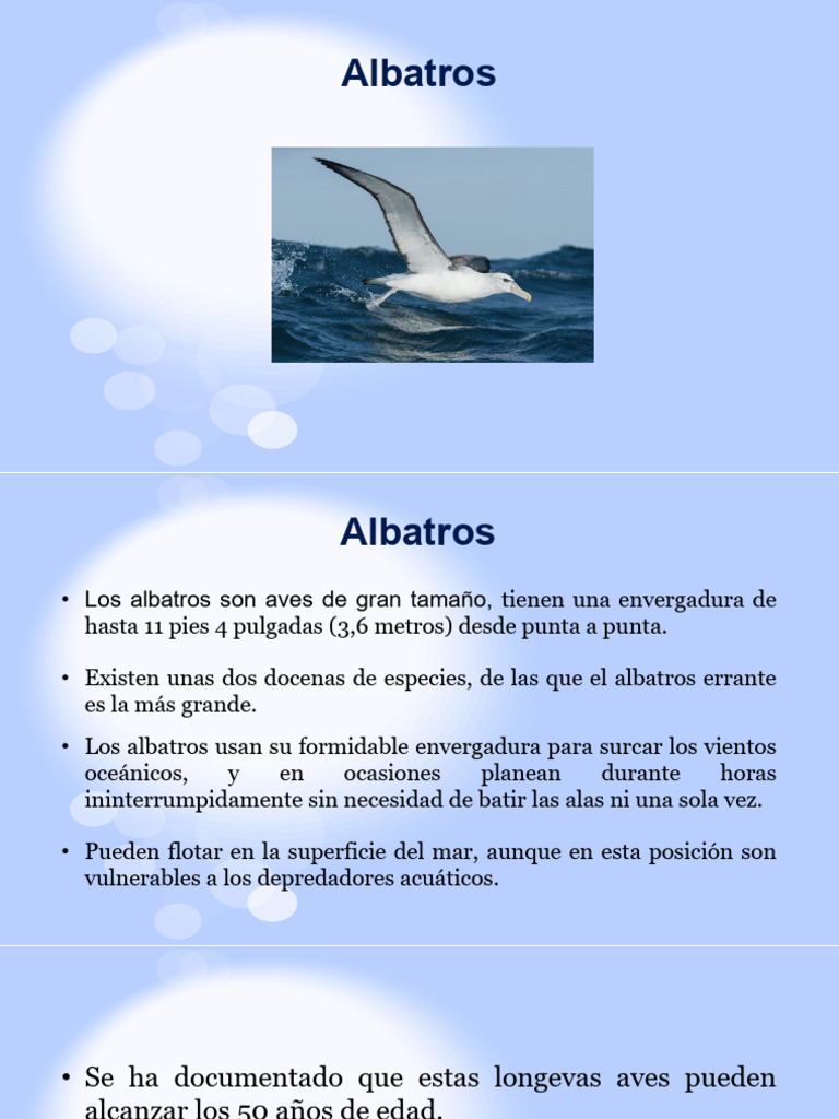 Alba | PDF