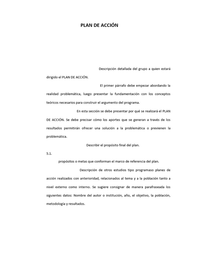 Estructura Del Plan de Accion | PDF