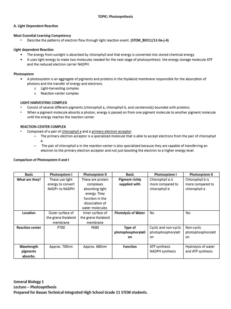 HANDOUT Photosynthesis | PDF