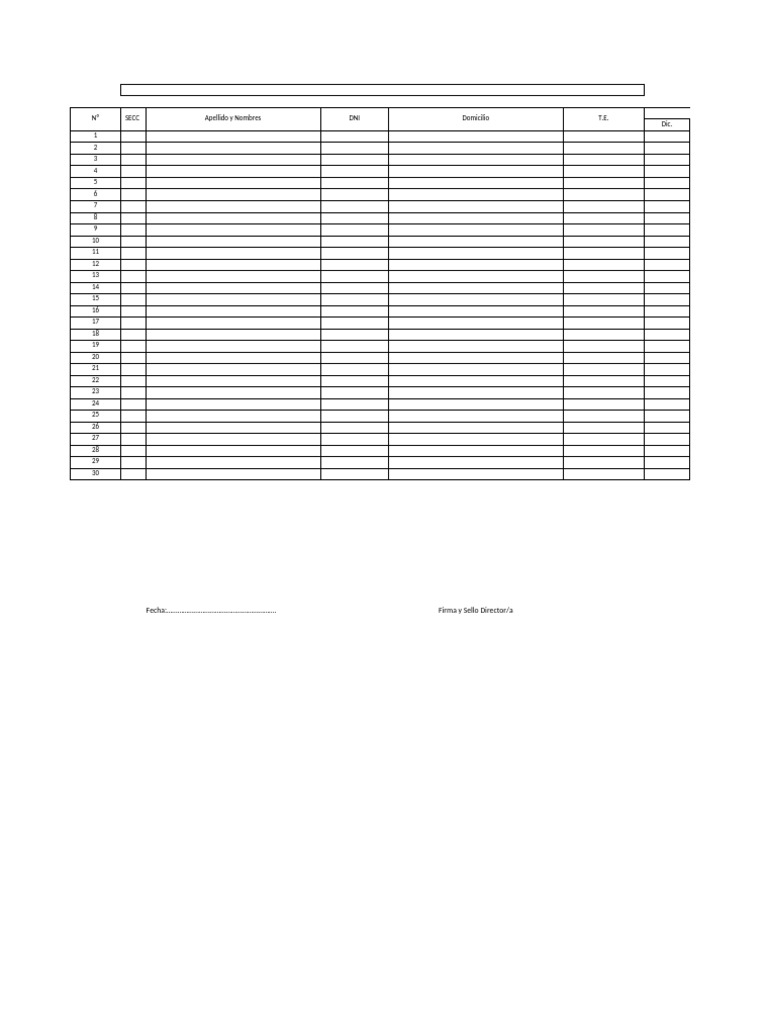 Modelo Planilla | PDF