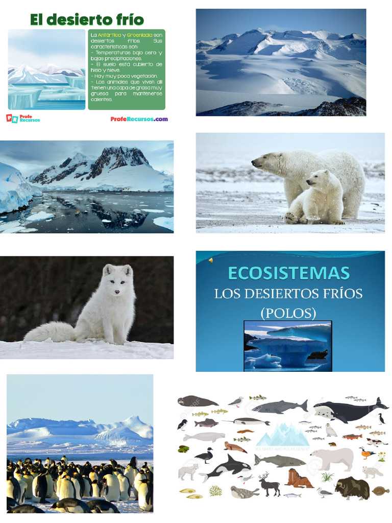 El Pretérito Ficha de Ejercicios Naranja Simple | PDF