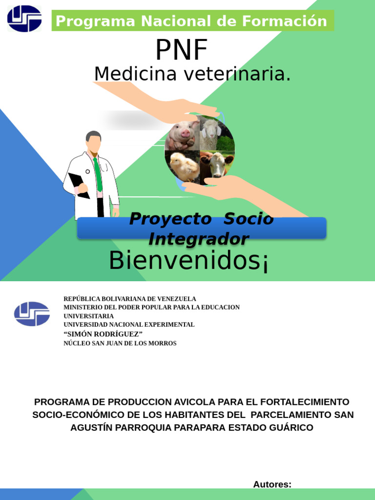 Proyecto Socio Integ MVterinaria - PPTM | PDF
