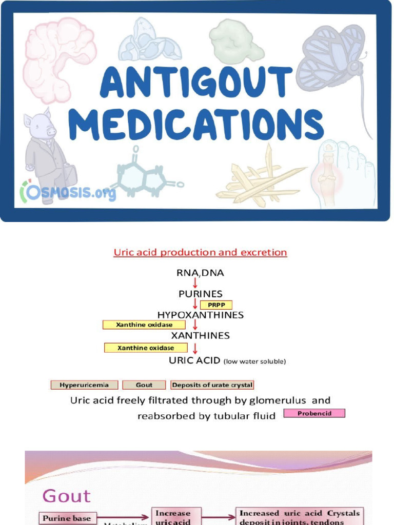 Antigout Drugs | PDF