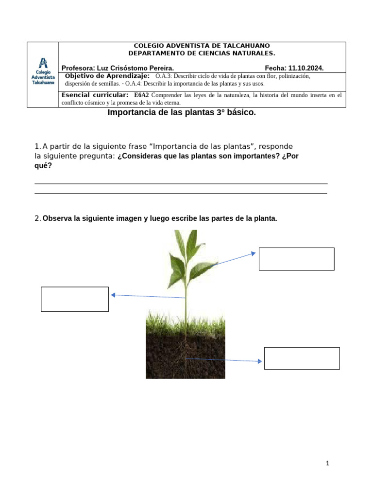 GUIA CIENCIAS LAS PLANTAS 2 | PDF