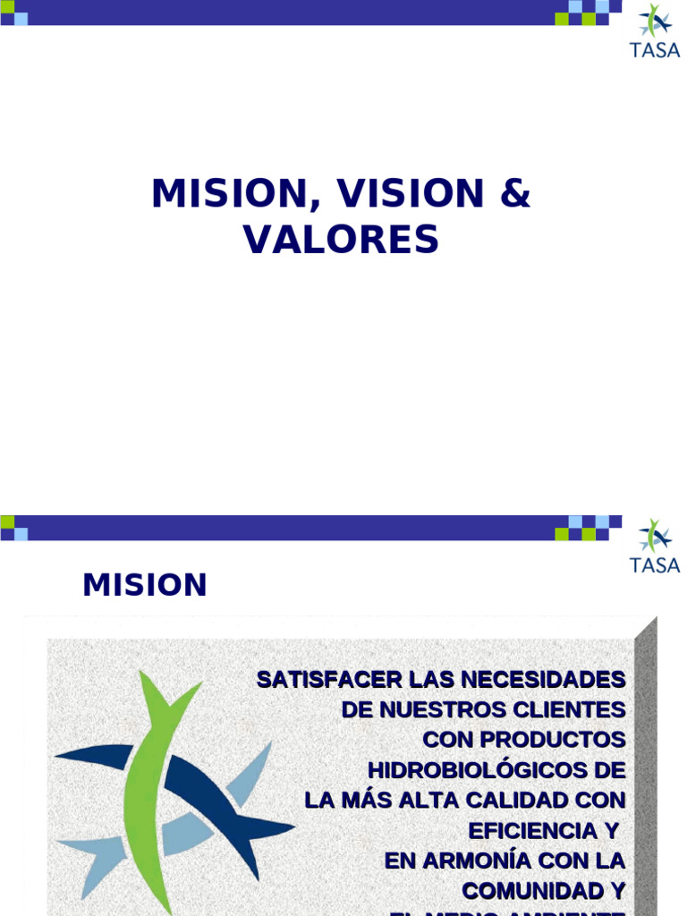Mision Vision Valores | PDF