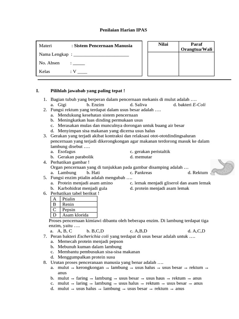 PH IPAS Organ Pencernaan | PDF