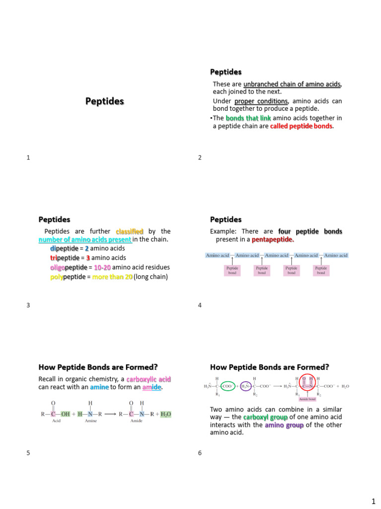 17 Peptides | PDF