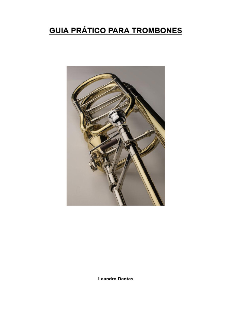 Guia PrÃ¡Tico | PDF