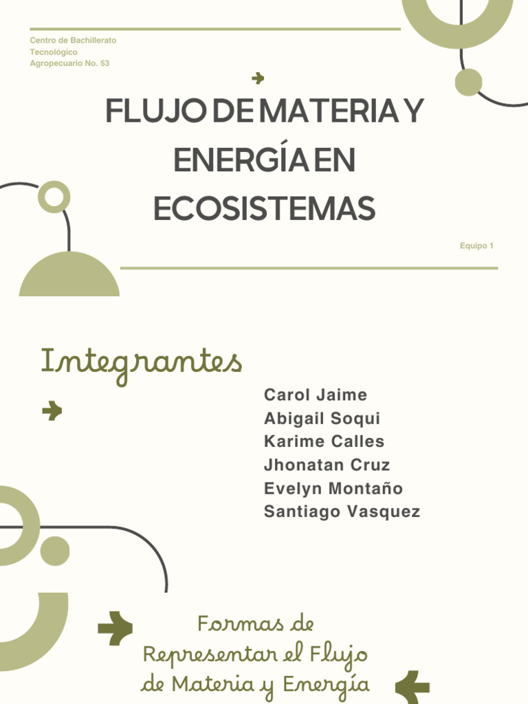 Flujo de Materia y Energía en Ecosistemas | PDF