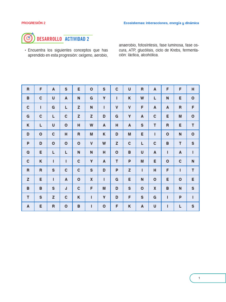 Act Des 2 Prog 2 | PDF