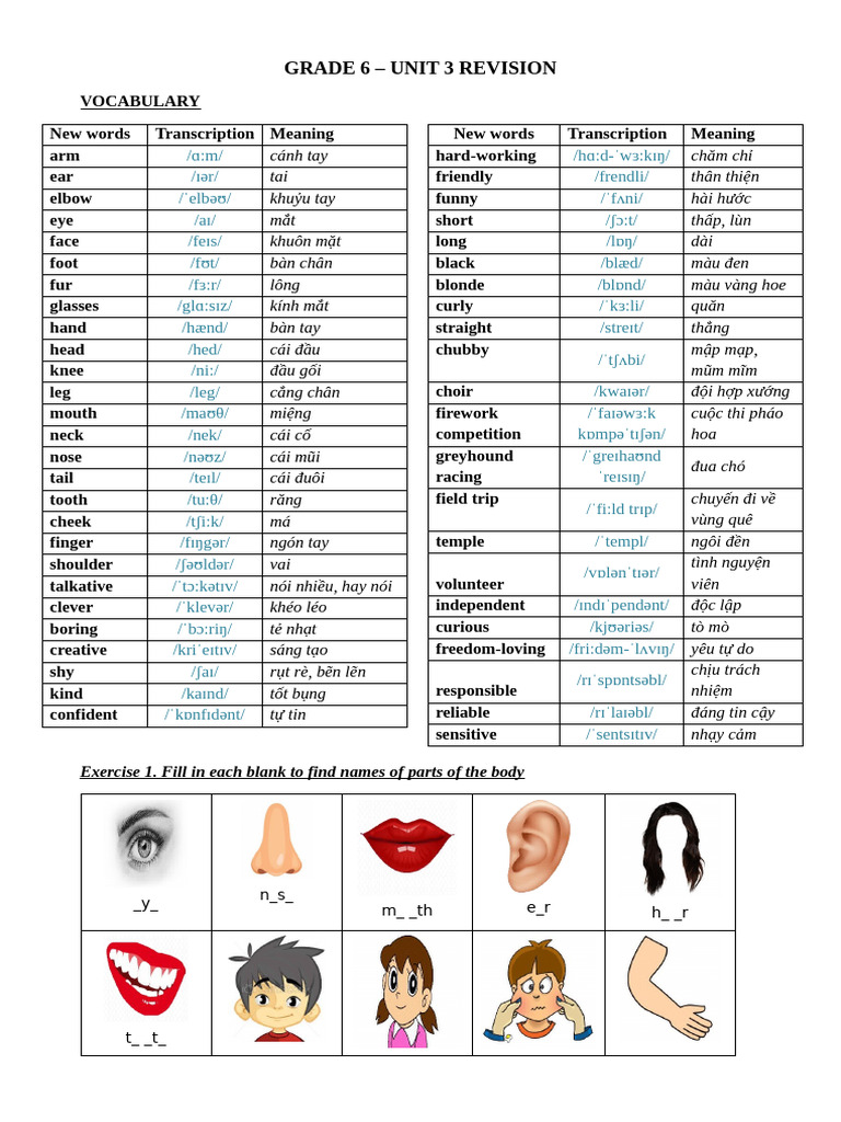 Grade 6 - Unit 3 Review | PDF