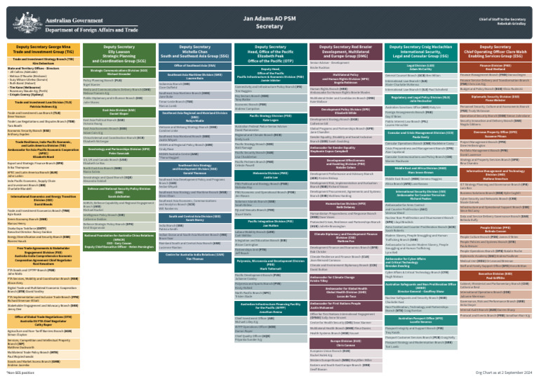 Dfat Org Chart Executive | PDF