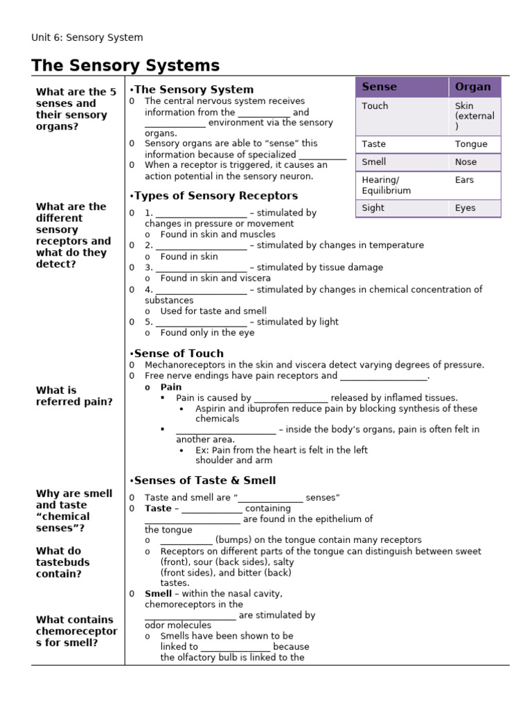 Senses Notes 1 | PDF