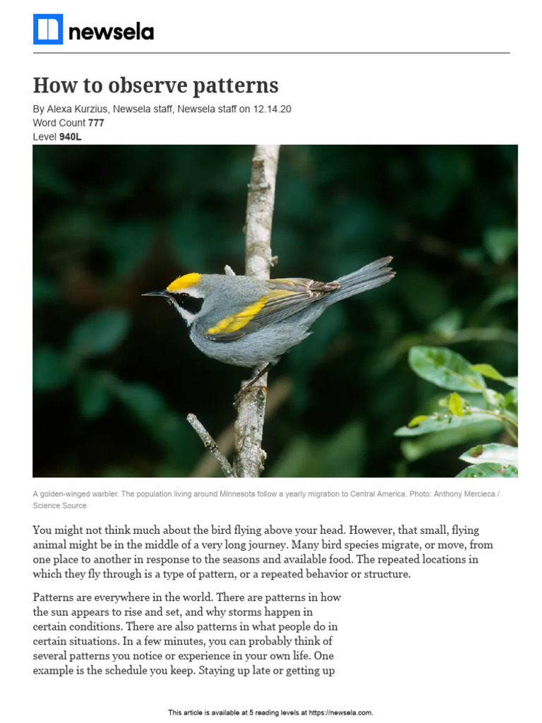 How_To_Spot_Patterns_940L | PDF