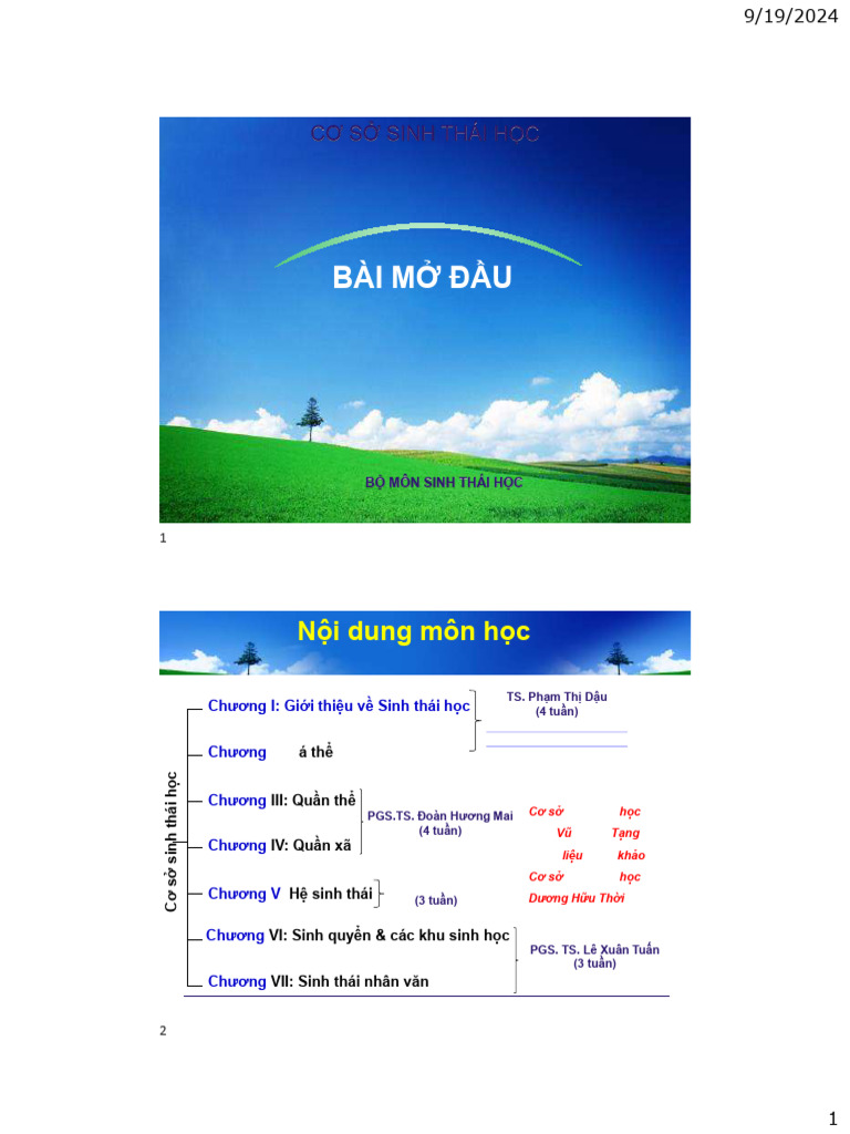 Bai Giang 1 - Mo Dau | PDF