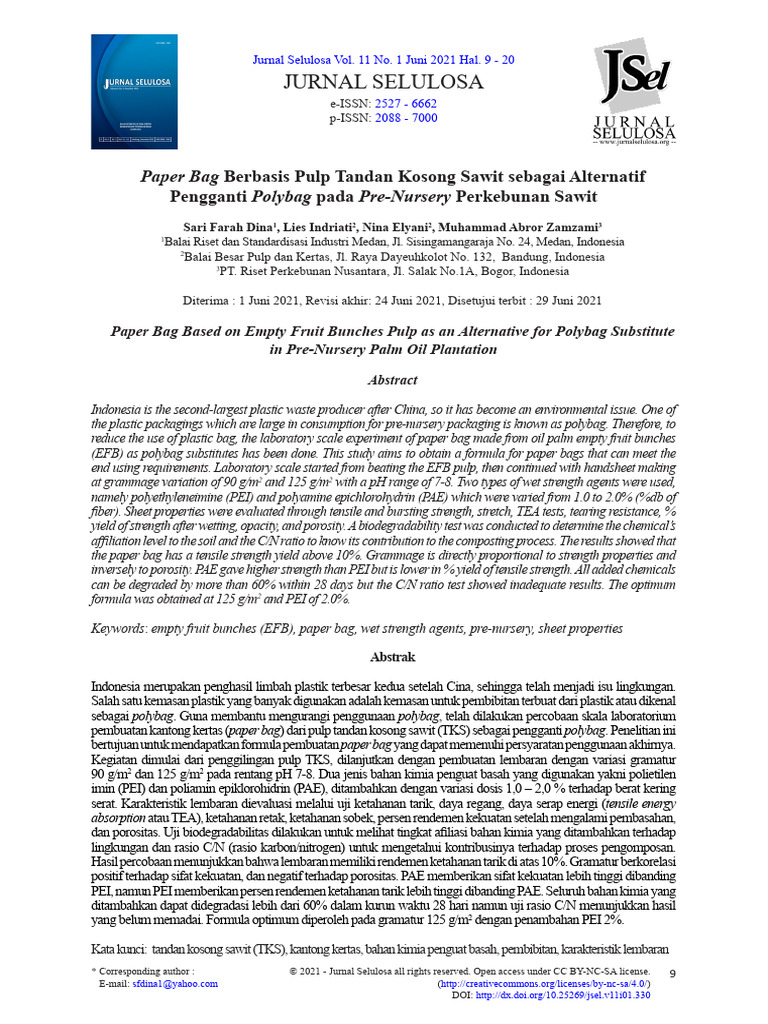 Publikasi Paperbag (SFD) | PDF