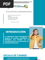 Tanner Femenino y Masculino Pediatría | PDF | Pecho | Características ...