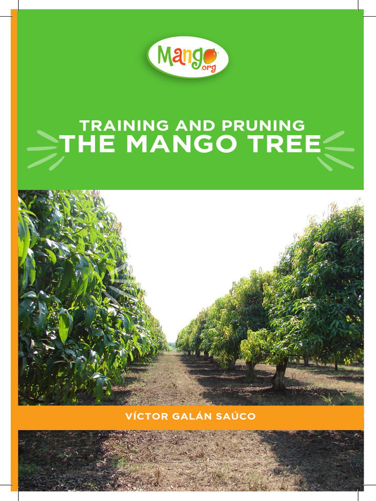 Mango Booklet English | PDF