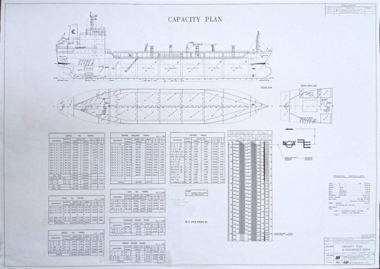 Dolphin 01 - Capacity Plan | PDF
