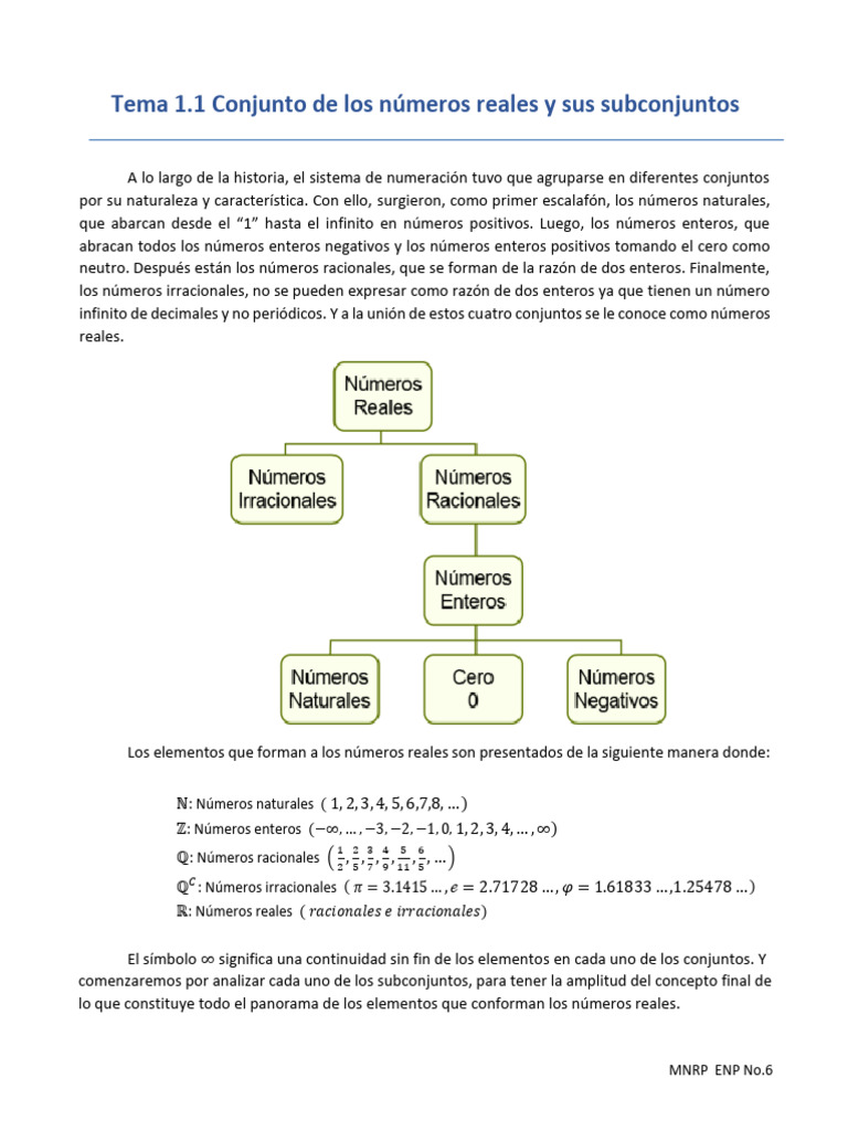 1.1 Conjunto de Los Números Reales y Sus Subconjuntos | PDF
