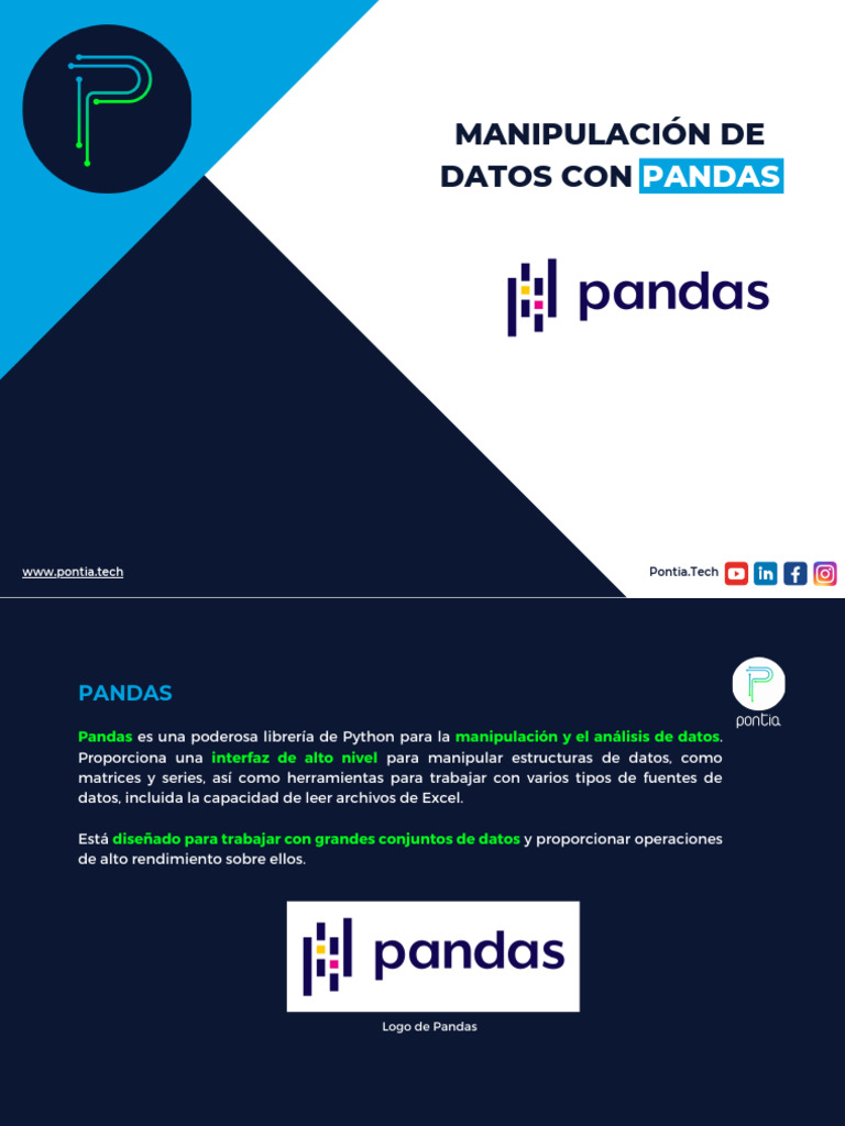 PANDAS | PDF | Tecnologías de la información | Ingeniería de software