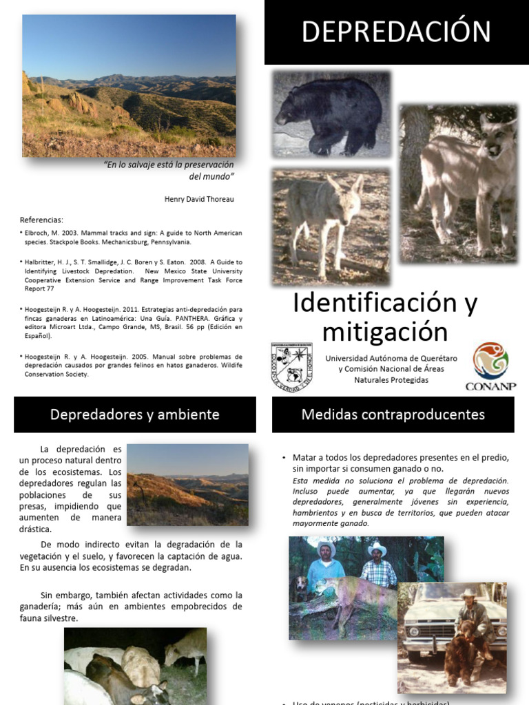2012 Guia Depredacion - Identificacion y Mitigacion | PDF