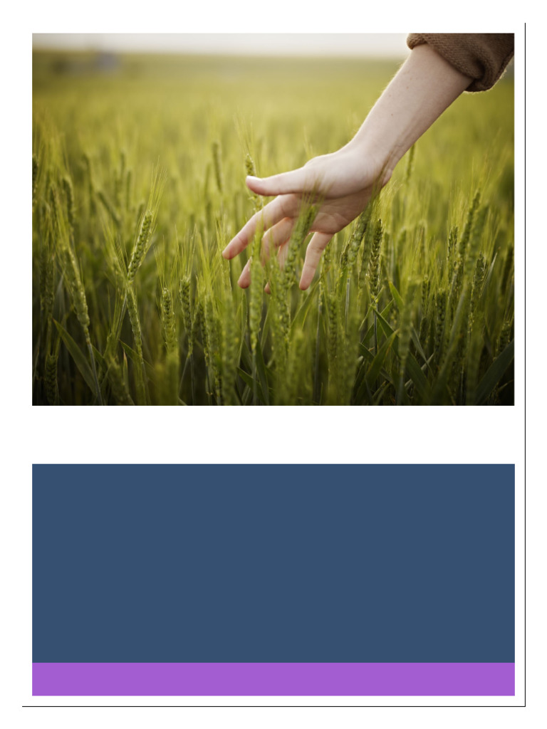 Crop Production Technology | PDF