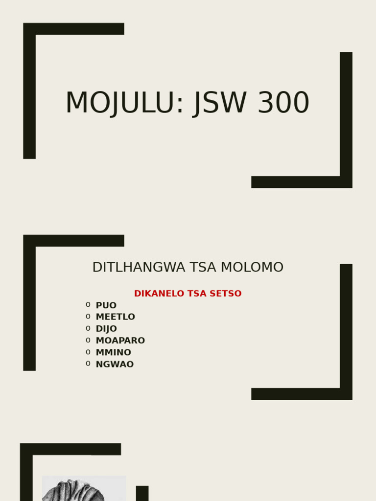 JSW 300-Ditlhangwa Tsa Setso | PDF