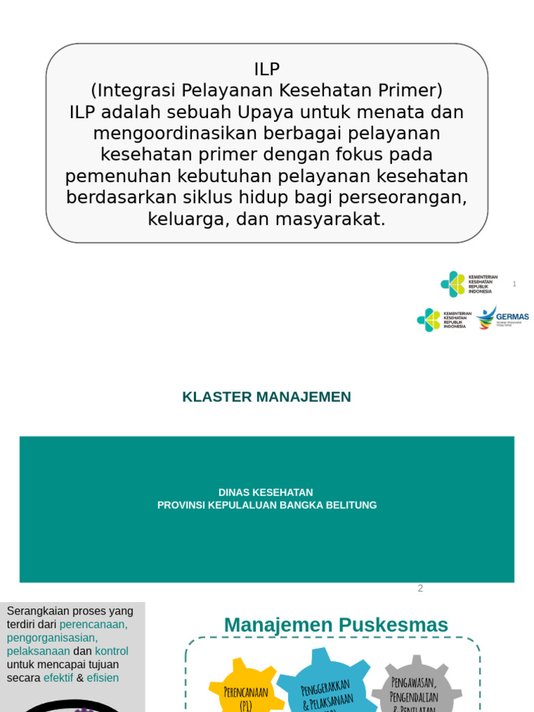 Ilp Puskesmas | PDF