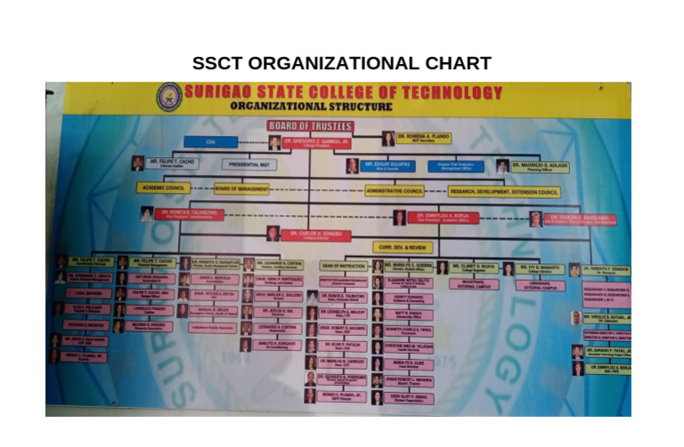 SSCT ORg. Chart | PDF
