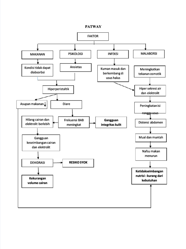 PDF Patway Cairan Elektrolit - Compress | PDF