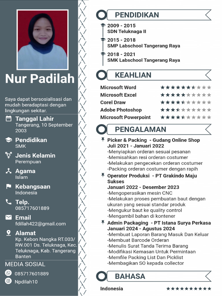 CV NUR PADILAH 2024 | PDF