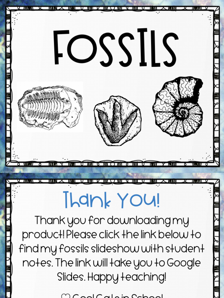 Fossils | PDF