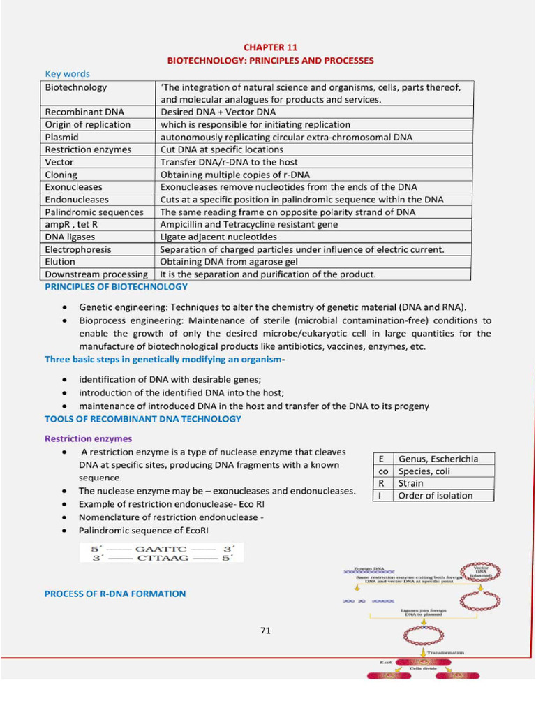 Biotech Notes 12th | PDF