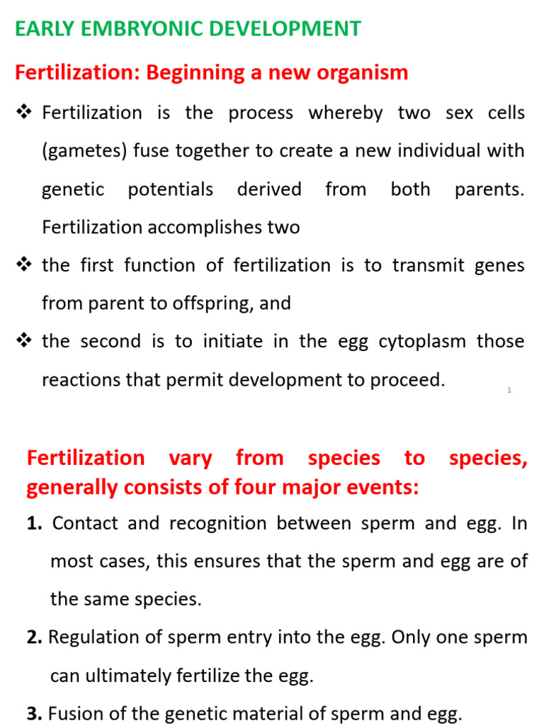 Fertilization and Early Embryonic Development | PDF