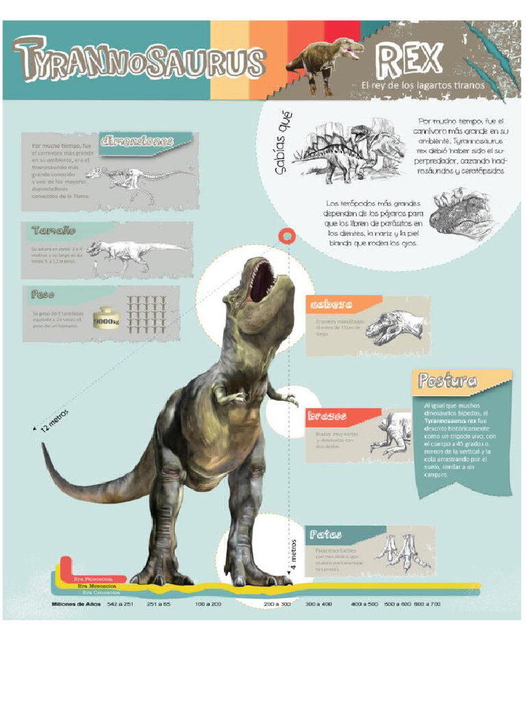 T Rex | PDF