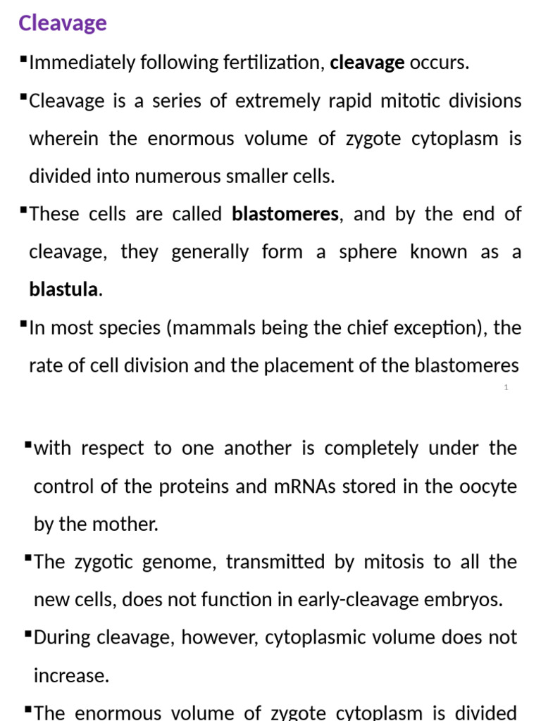Cleavage and Patterns of Cleavages | PDF