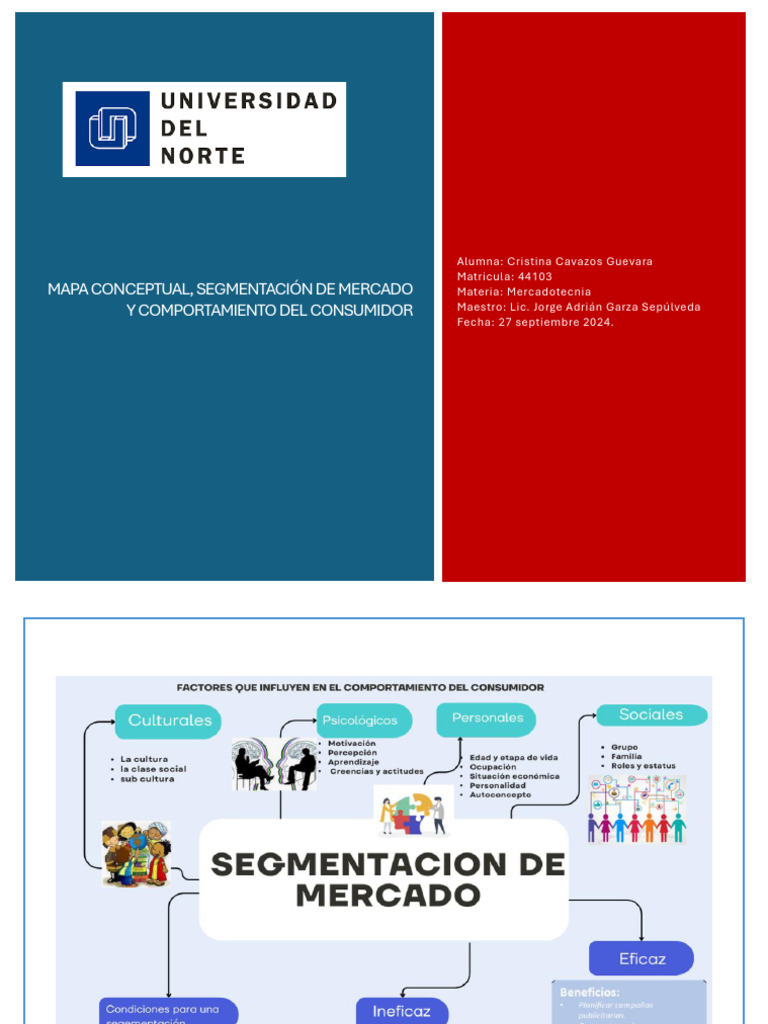 Mapa Conceptual, Segmentación de Mercado y Comportamiento Del Consumidor | PDF