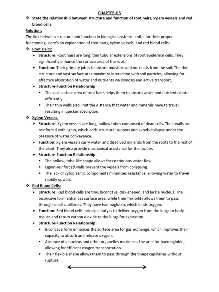 CH 5 Class 9 | PDF