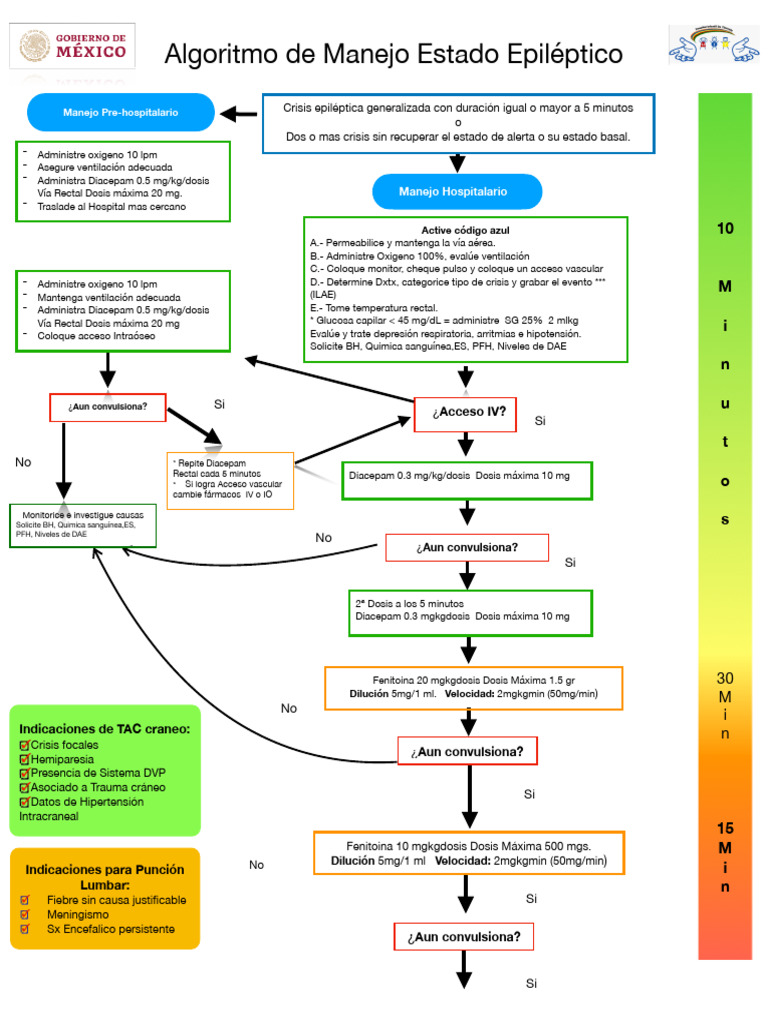 Algoritmo Estado Epileptico 22 03 21-1 | PDF
