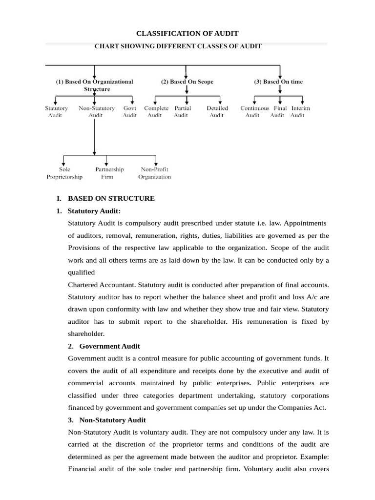 Classification of Audit | PDF
