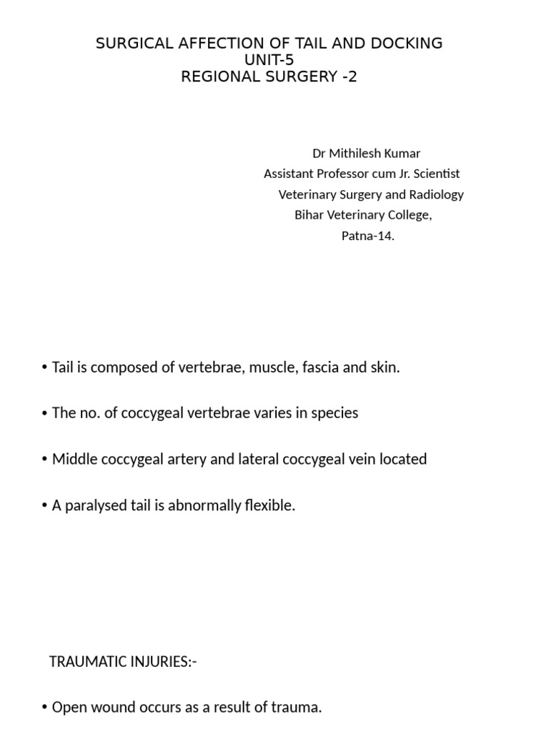 Surgical Affection of Tail and Docking | PDF