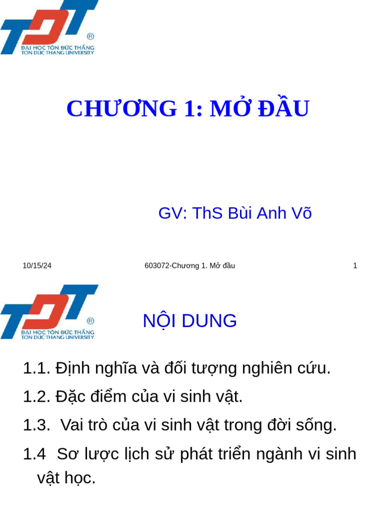 CHƯƠNG 1 Mo dau | PDF