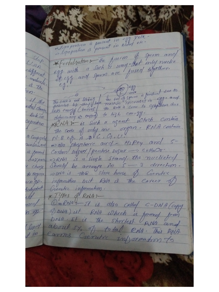 Biology Note | PDF