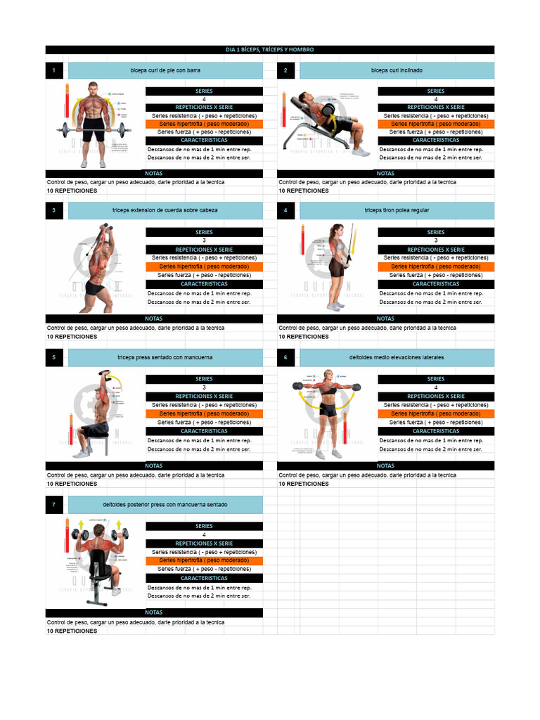 Dia 1 Biceps Triceps Hombro | PDF | Anatomía | Salud y bienestar