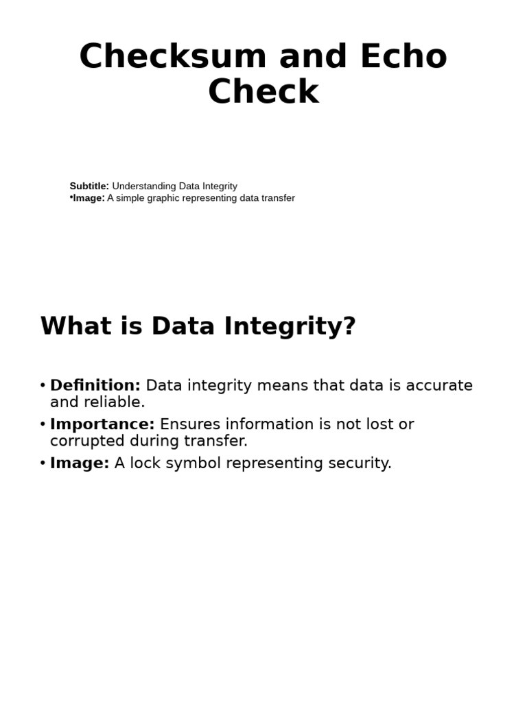 Checksum and Echo Check | PDF