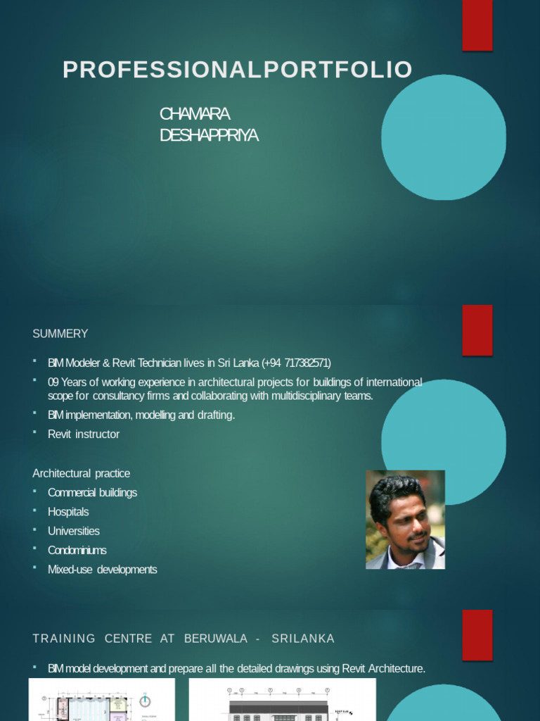 Professional Portfolio | PDF