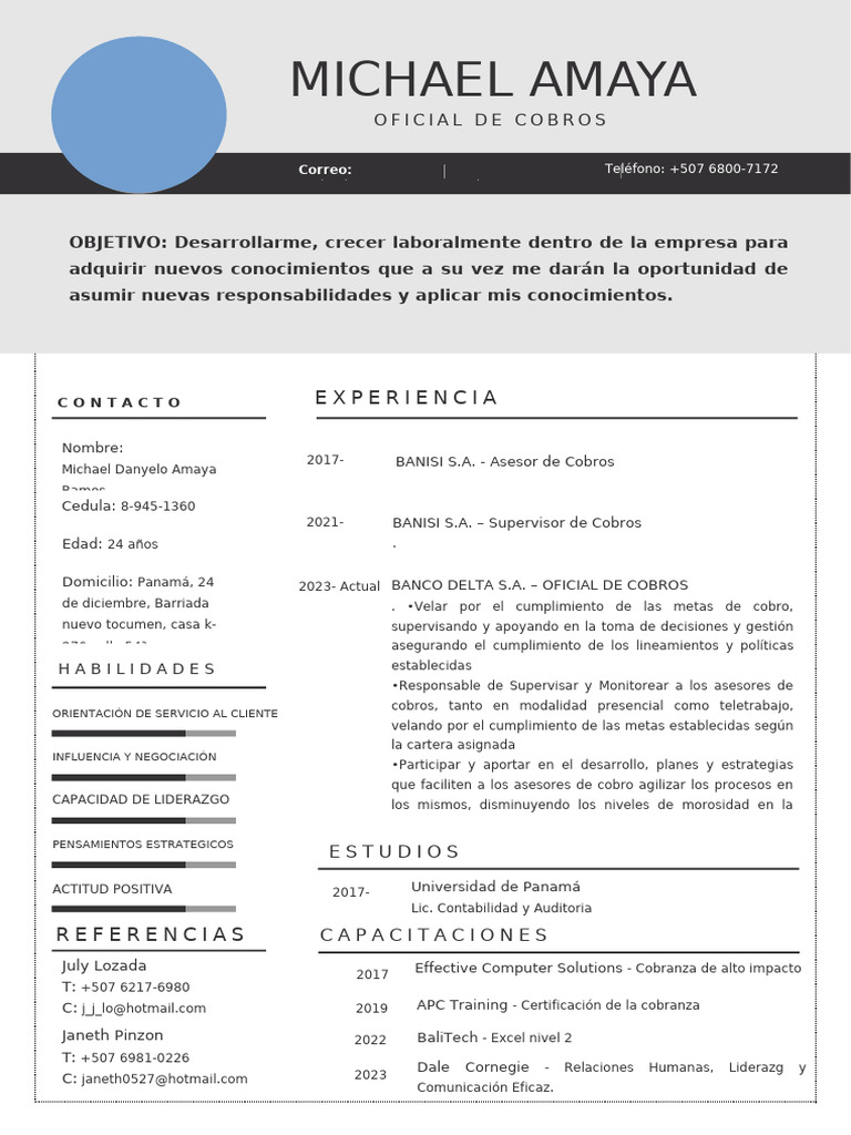 Cv Michael Amaya | PDF